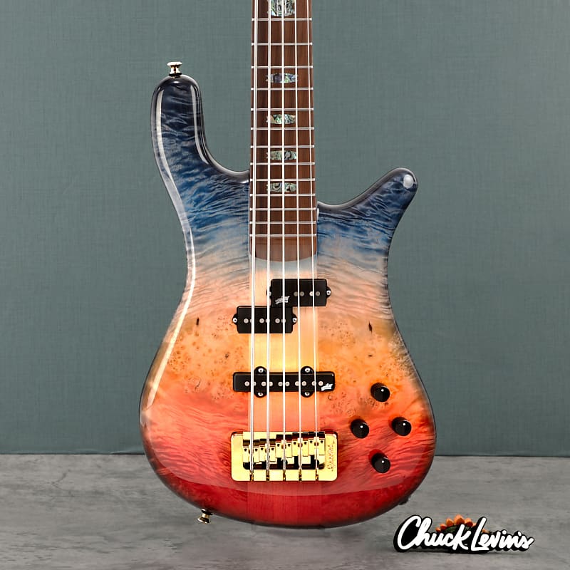 Spector USA Custom NS-5XL 5-String Bass Guitar - Grand Canyon | Reverb