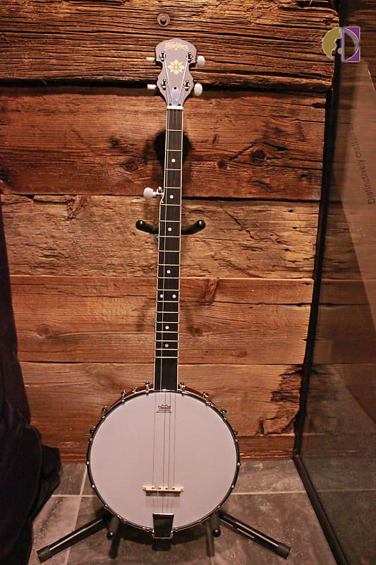 Washburn B7 Banjo 5 String Open Back, Free Shipping to Lower | Reverb