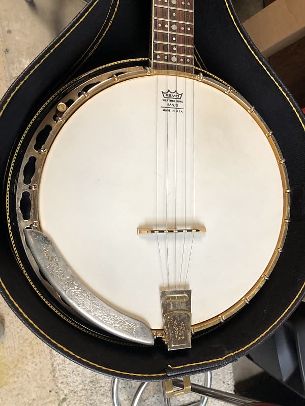 Alvarez DeLuxe 5 string banjo | Reverb