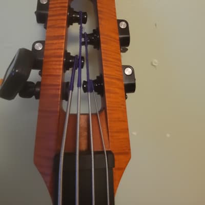 Steinberger Ŵave fretted upright bass 2023 - Natural orange | Reverb