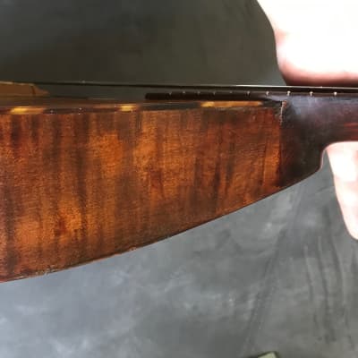 Mandriola - vintage 12 strings mandolin | Reverb