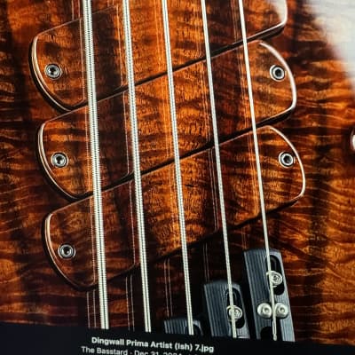 Dingwall Prima Artist Custom Shop Limited Only 1 made 2024 | Reverb