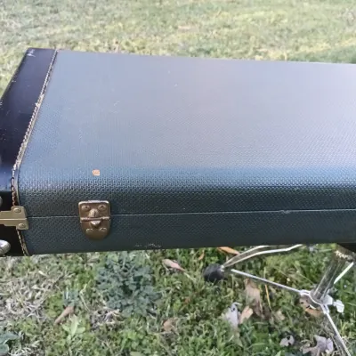 Vintage guitar case | Reverb