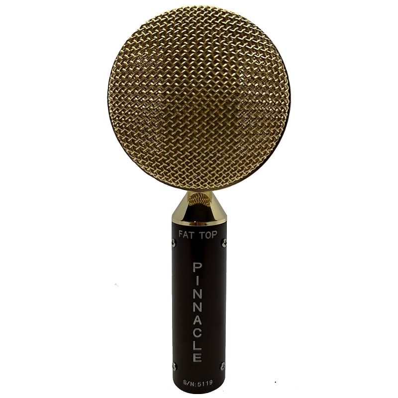 Pinnacle Microphones Fat Top Ribbon Microphone | Reverb Australia