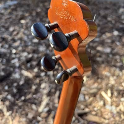 SS Stewart Monogram 5-String Banjo 1900 | Reverb