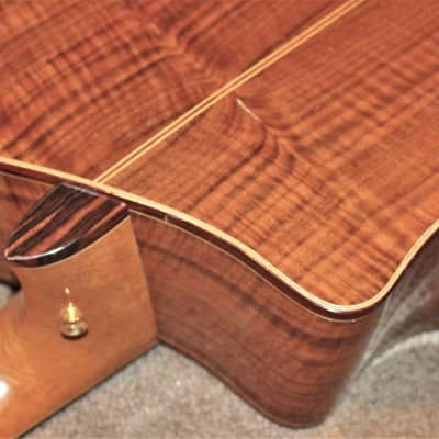 Harry Fleishman 'Dragonfly'. 1995 One of a Kind Acoustic | Reverb