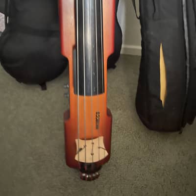 Azola Bug bass 5 string | Reverb