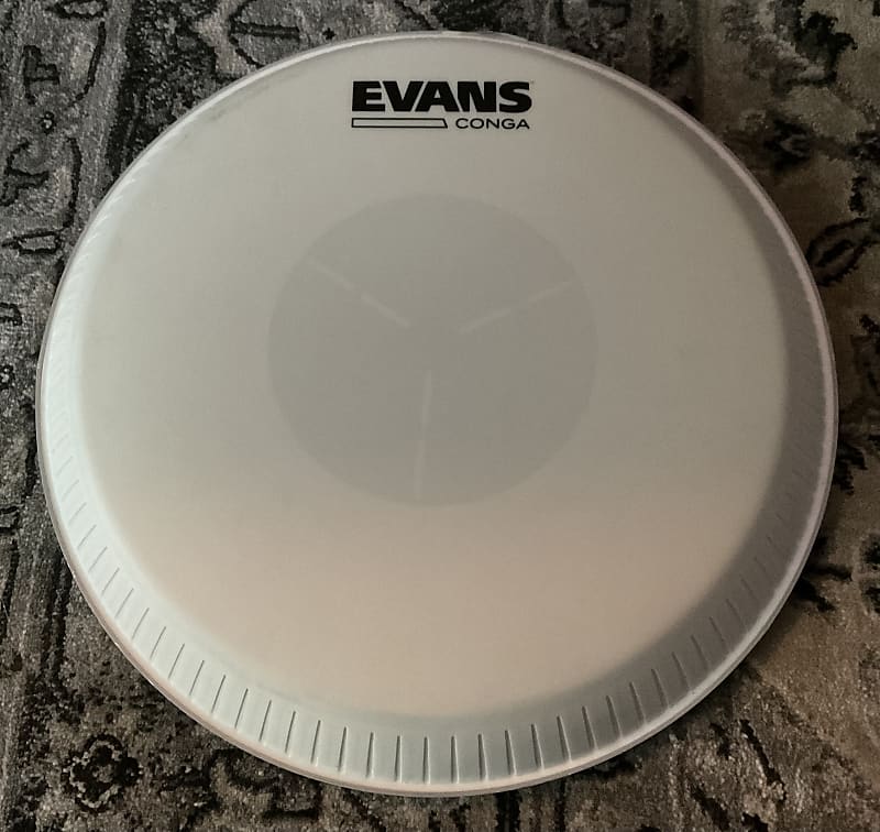 Evans Conga | Reverb