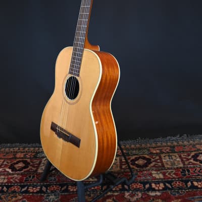 Carlo Robelli solid state amplifiers, banjos, mandolins, ukuleles ...