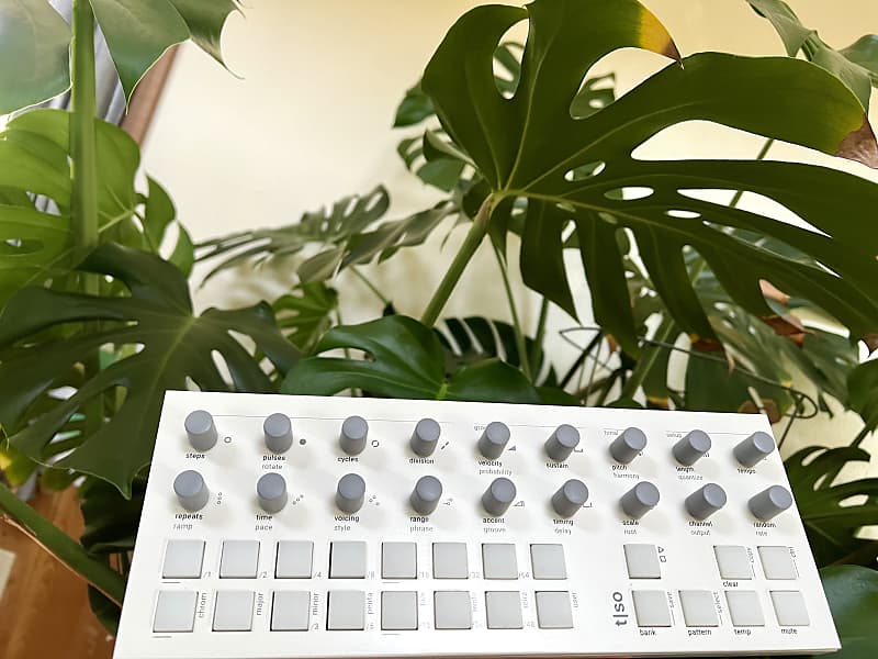 Torso Electronics T-1 2023 - white | Reverb