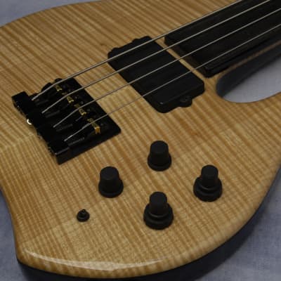 Zon Guitars Michael Manring Hyperbass W/Custom Bartolini | Reverb