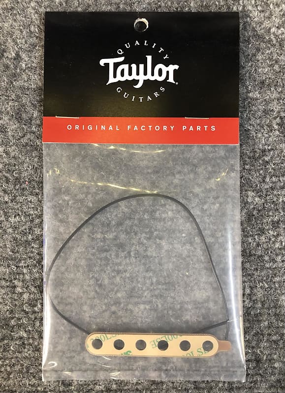Taylor ES String Ground, 6 String | Reverb