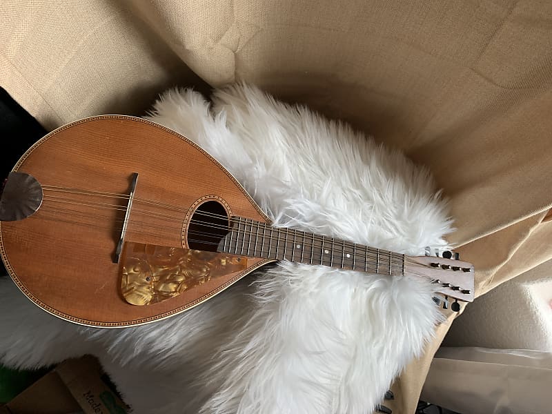 Mandolin Brothers Unknown 1920 | Reverb