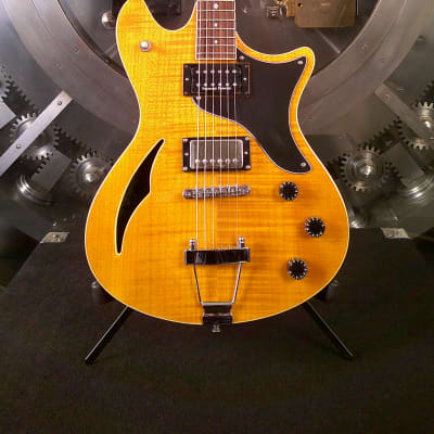 Schecter TSH-1 Semi Hollow Electric Guitar w/ Hard Case | Reverb