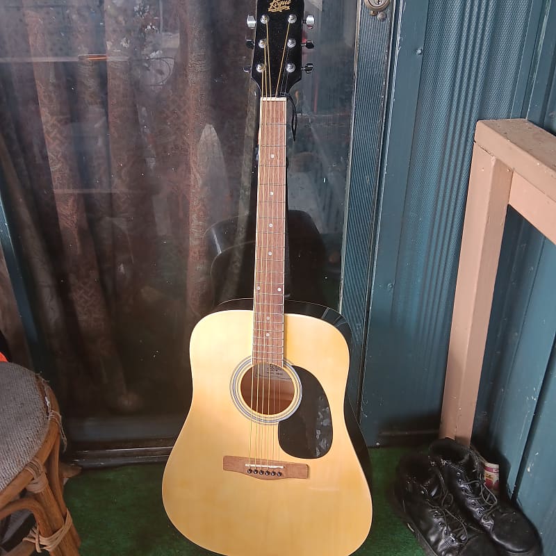 Rogue Rd 80 Acoustic guitar | Reverb