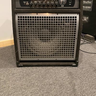 SWR Working Pro 12 | Reverb