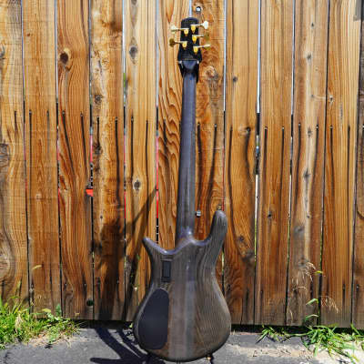 Spector Euro 5 CST Natural Black Burst Gloss 5-String | Reverb