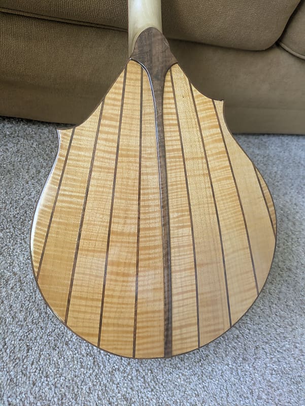 Staveback Octave Mandolin Acoustic Electric FREE SHIP | Reverb