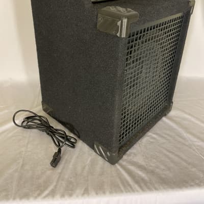 SWR Workingman's 12 2000s - Original Version - USA made! | Reverb