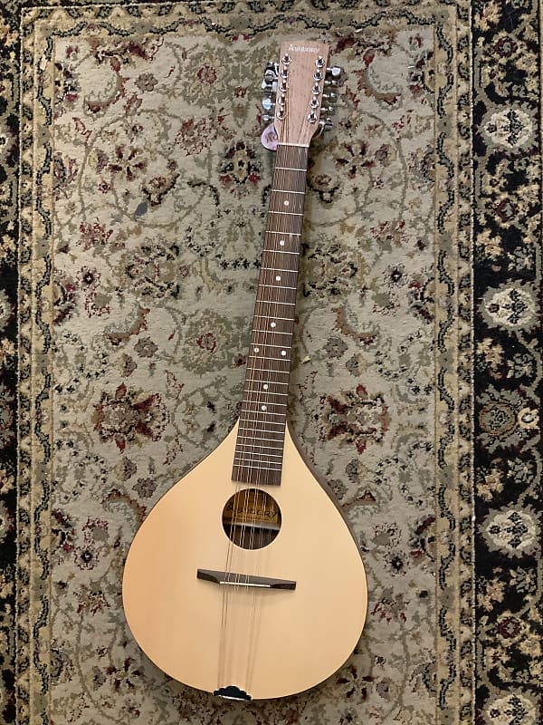 Ashbury Rathlin 10 string Cittern | Reverb