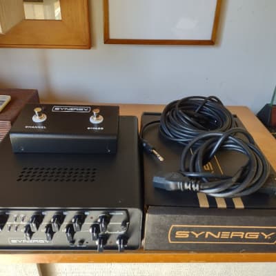 Synergy SYN-2 Rack Mount Preamp with Engl Savage Module | Reverb