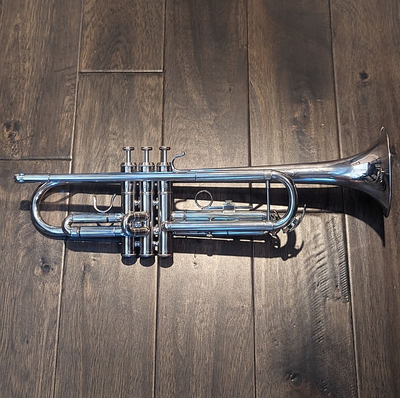 Affordable... Hawk Bb Student Trumpet. Ready to Play | Reverb