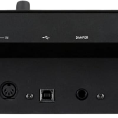 Korg Modwave MkII Module Wavetable Synthesizer | Reverb