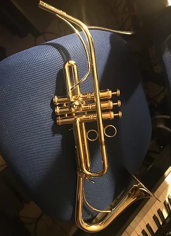 Carol Brass Saxy Trumpet | Reverb