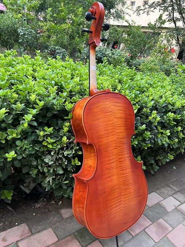Strad style solid wood SONG Brand maestr 3/4 cello,huge and | Reverb