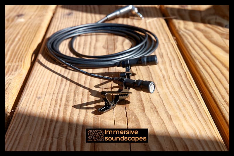 Earsight NANO - XLR - 1,5m cable - field recording microphone | Reverb