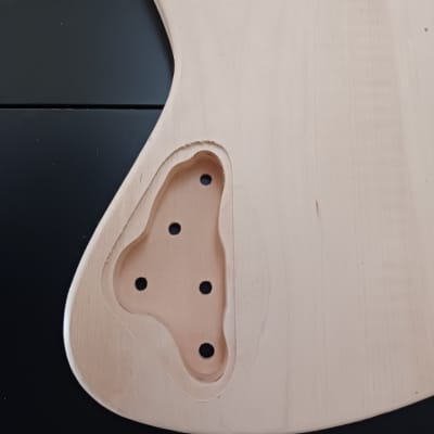 Basswood non reverse Firebird Guitar Body bolt on neck Gibson | Reverb
