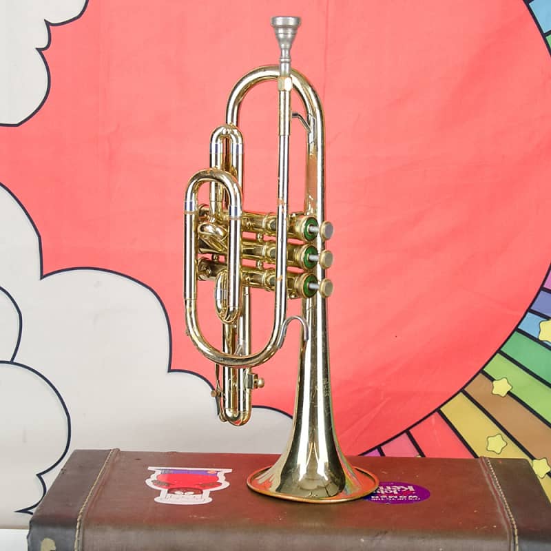 1976 Olds Ambassador Cornet -Fullerton Era - AS IS with case | Reverb