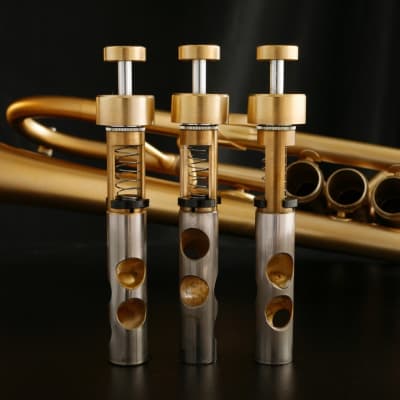 Pre-Owned Monette Raja P3-STC Trumpet in Brushed Gold Plate! | Reverb