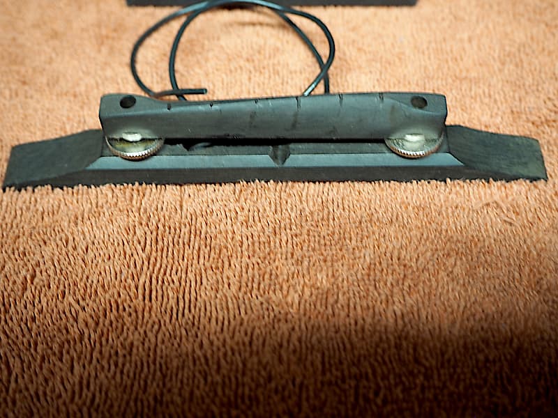 Fishman Archtop with Fishman Powerjack preamp | Reverb