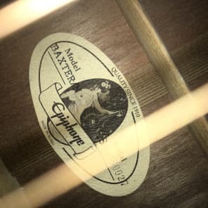 Epiphone Skunk Baxter Signature 1994 Natural | Reverb