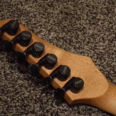 Kiesel Delos Custom HH electric guitar Made in USA | Reverb