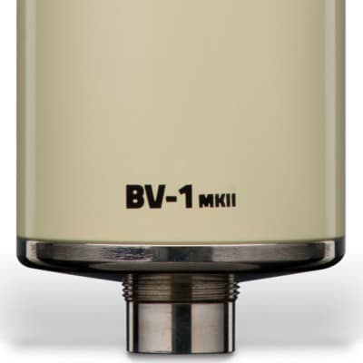Avantone Pro BV-1 MkII Multipattern Large Diaphragm Tube | Reverb