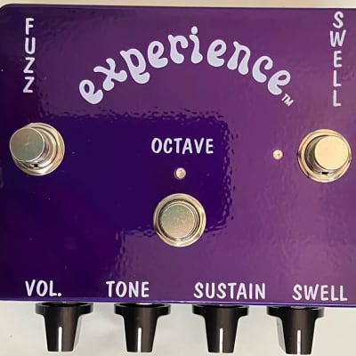 RARE Prescription Electronics Experience Fuzz Octave Swell | Reverb