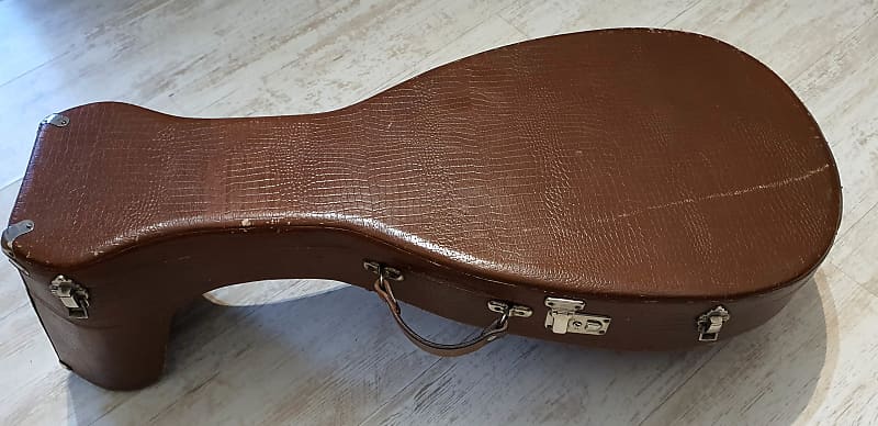 Unique Case for Renaissance Lute | Reverb