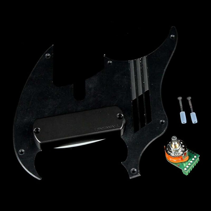 Dingwall NG2 to NG3 Upgrade Kit | Reverb