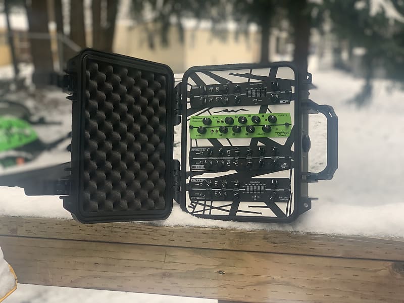 Burns Delta Model 4 Slot Case, 3VH, Synergy Randall Egnator | Reverb