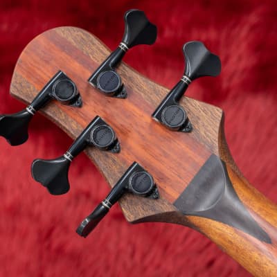 Olive Instruments Limba5 Semi-Hollow 3.76kg【横浜店】 | Reverb