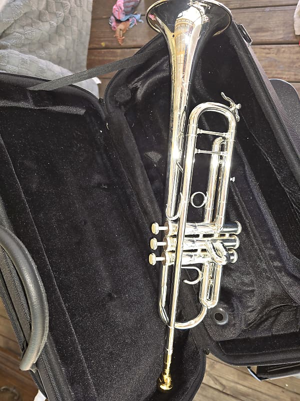 S.E. Shires co. Bravo 2019 | Reverb