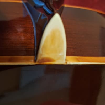 Ventura Bruno V-17 12 String Acoustic Dreadnought Guitar | Reverb