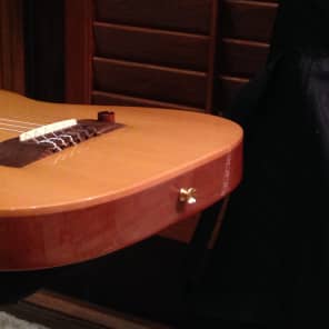 Fernandes P-Project 1998-99 AI-N Nylon Electric-Acoustic | Reverb