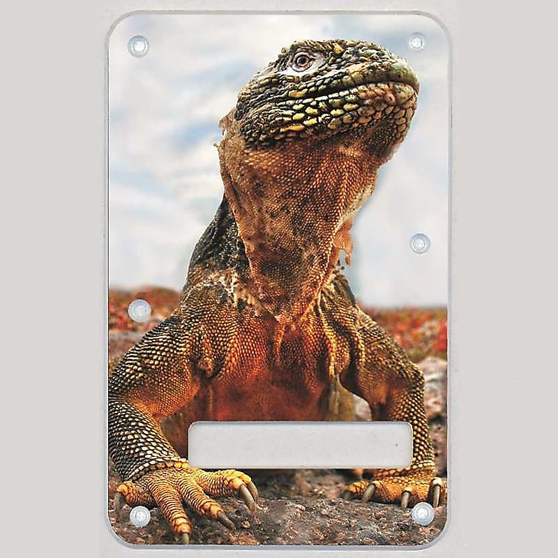 Graphical Tremolo Cover Fender Stratcaster Strat Lizard | Reverb