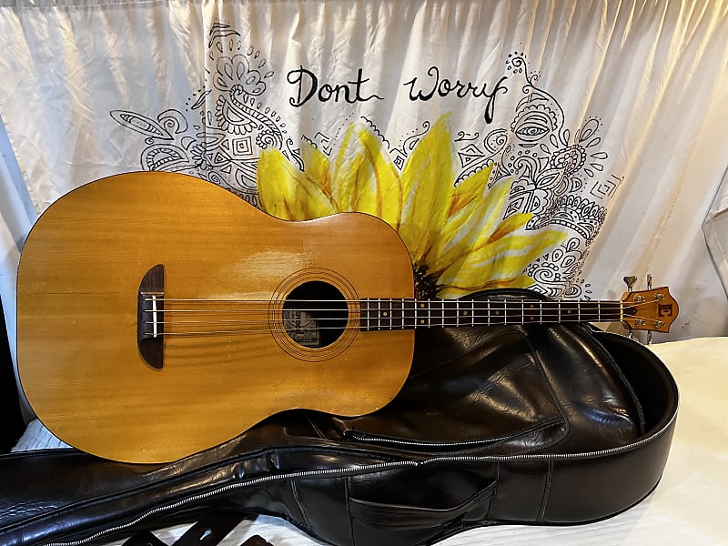 Ernie Ball Earthwood Vintage Acoustic Electric Bass w Case | Reverb