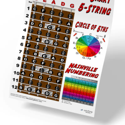 New Song 5 String Bass Fretboard Instructional Chart Poster | Reverb