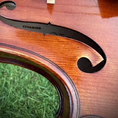 Beautiful Shell Maple Guarneri Del Gesu model Violin 4/4 | Reverb