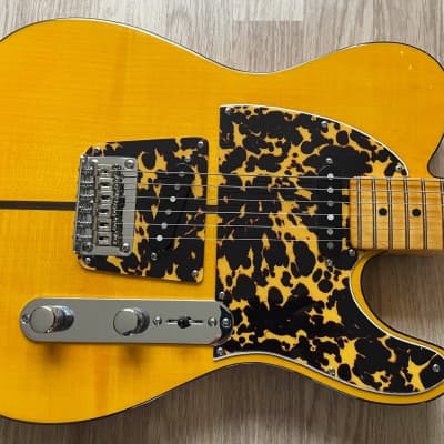 TPP Prince Fender American "Mad Cat" Telecaster Tribute - | Reverb UK
